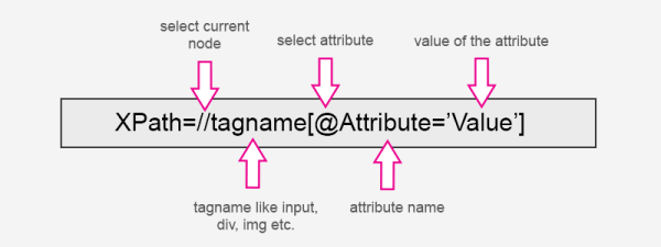Introduction to XPaths | Provar Documentation
